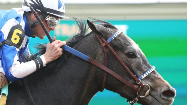 Defining Purpose | America's Best Racing Defining Purpose | America's Best Racing